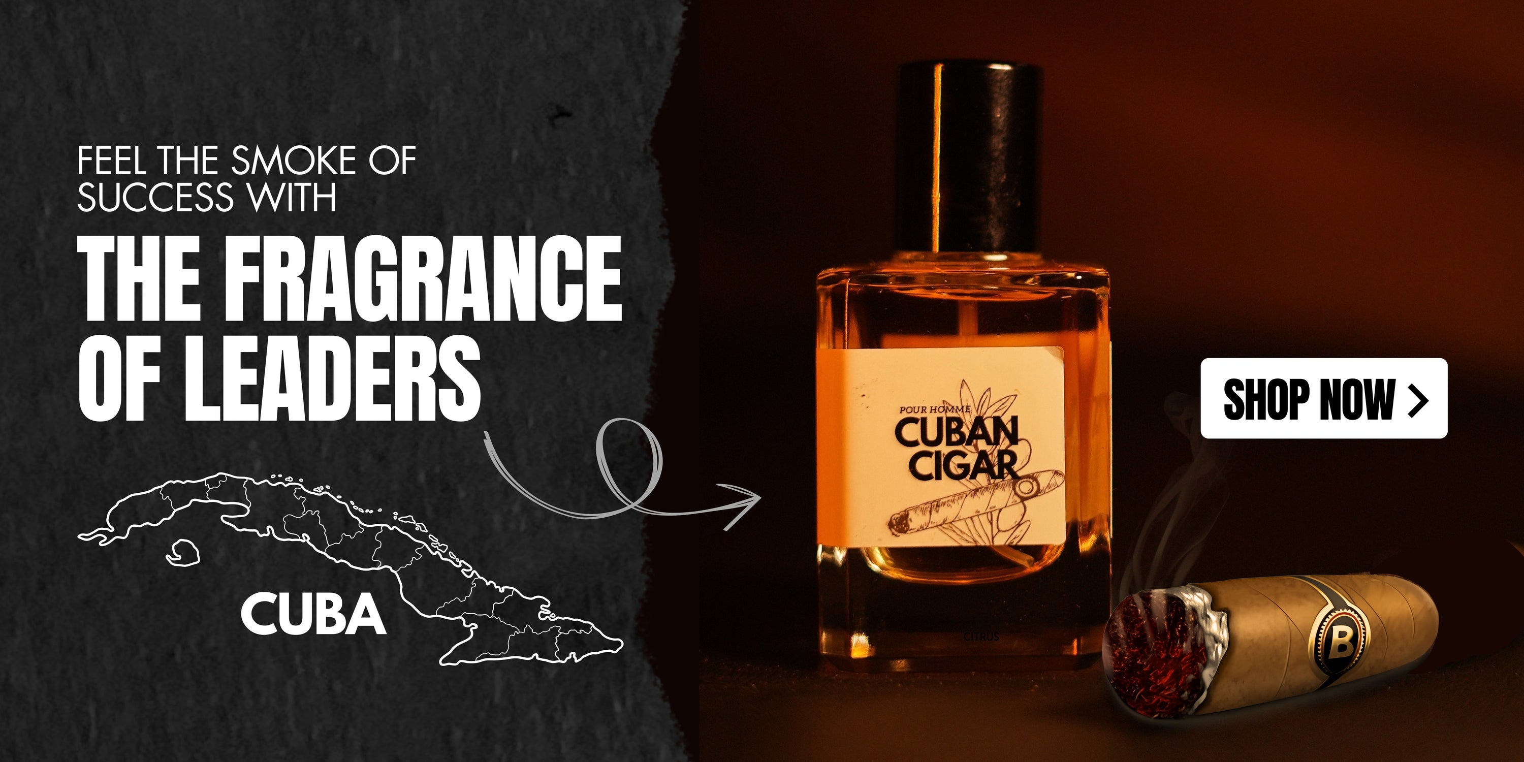 The Alpha – Premium Masculine Perfumes | Strong Scents for Strong Men